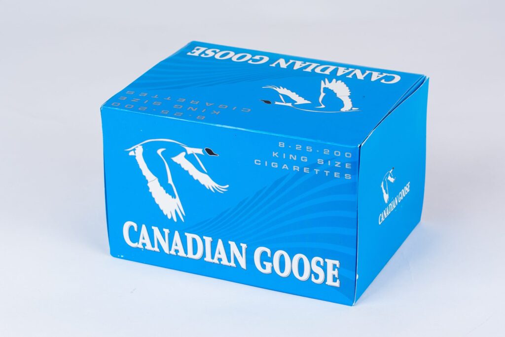 Canadian Goose - White Birch Post
